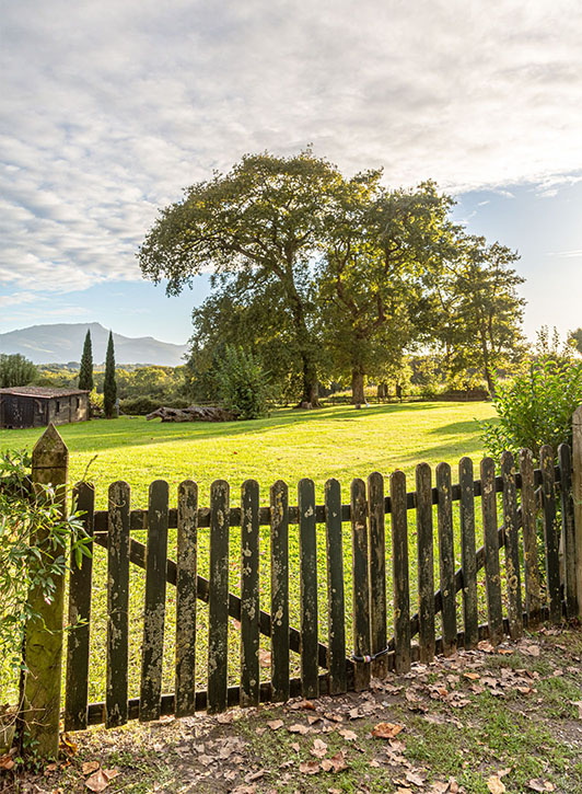 Restaurant Hôtel Pays Basque - Ostalapia, spécialités basques
